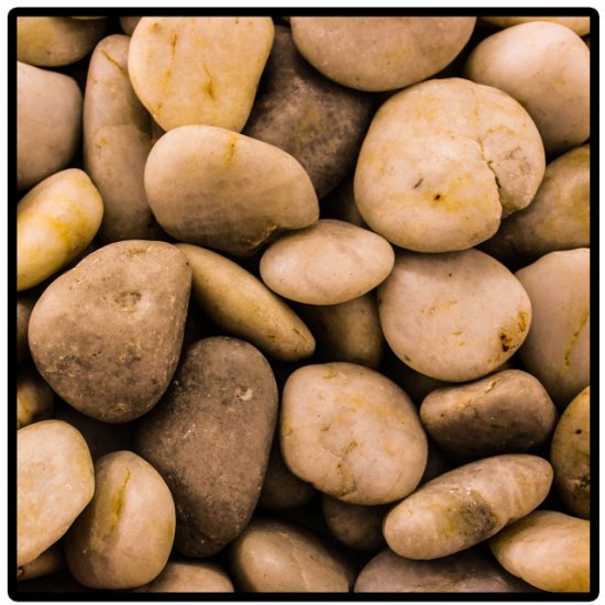 The Garden of Glass, Landscape, Terrazzo, Fireplace, Aquarium, & More